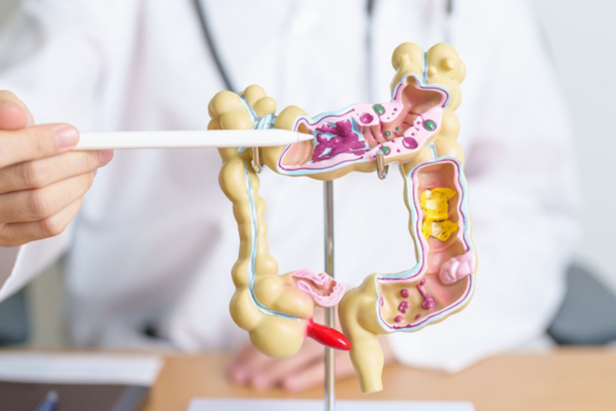 DigEx Syrup: Your Natural Solution for Digestive Health – Herbex Store